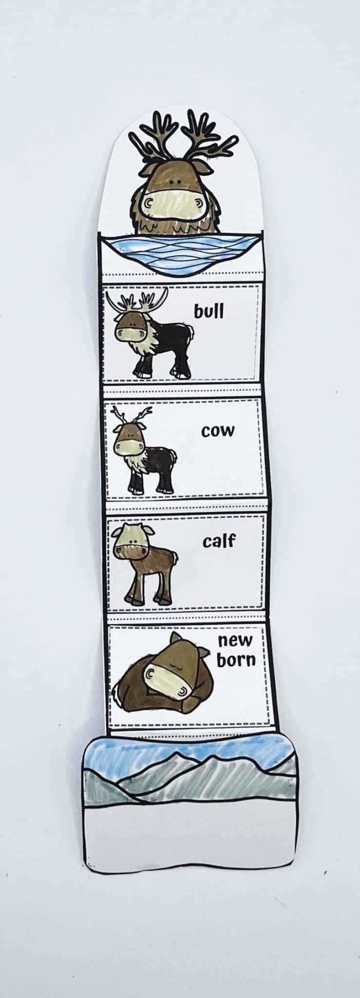 Life Cycle of a Reindeer Worksheets (8 free printables)