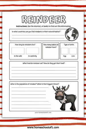 Life Cycle of a Reindeer Worksheets (8 free printables)