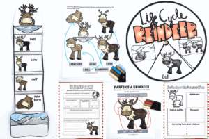 Free Reindeer Worksheets for Kids