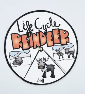 Life Cycle of a Reindeer Worksheets (8 free printables)