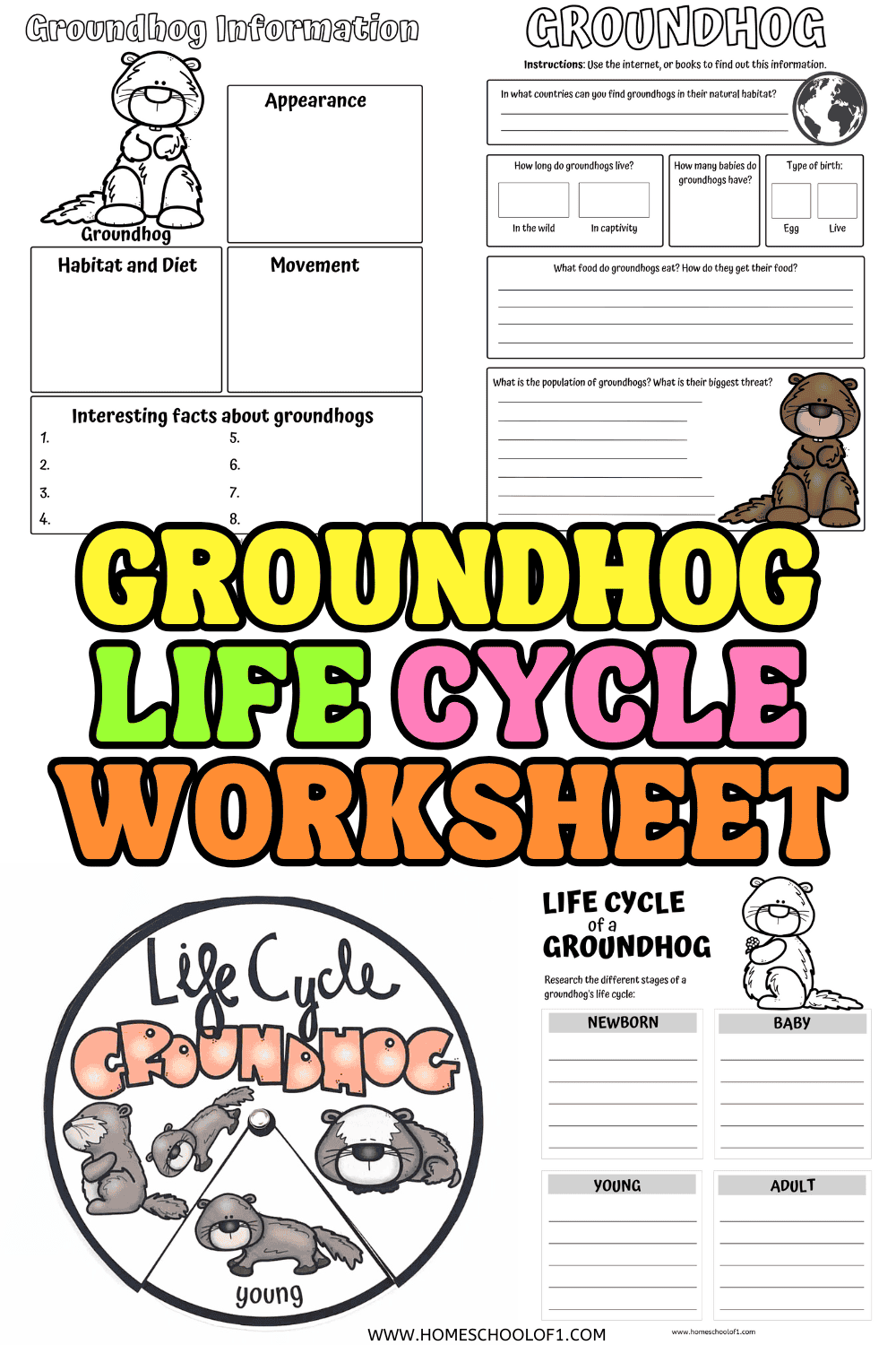 Life Cycle of a Groundhog Worksheet (8 Free Activities)