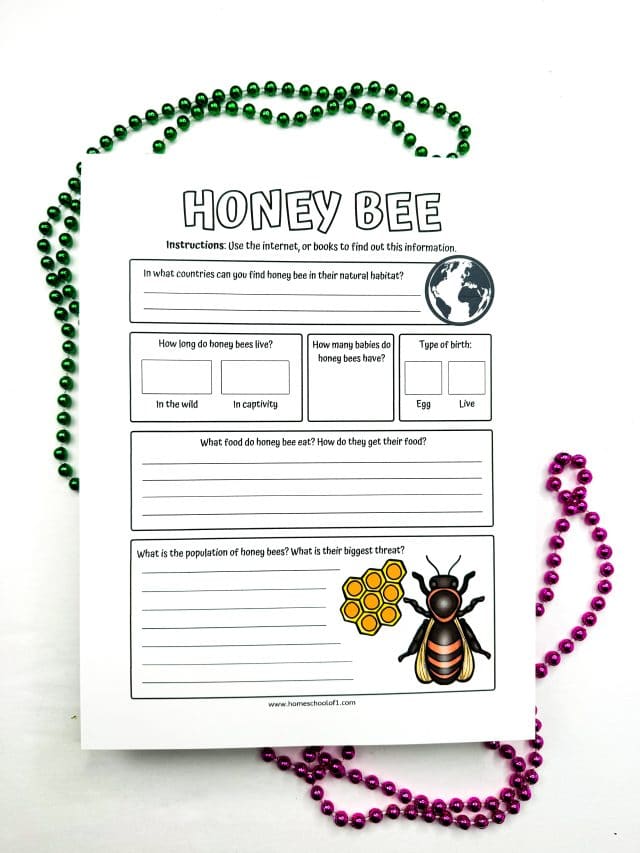 Free Life Cycle of a Bee Worksheet for Kids
