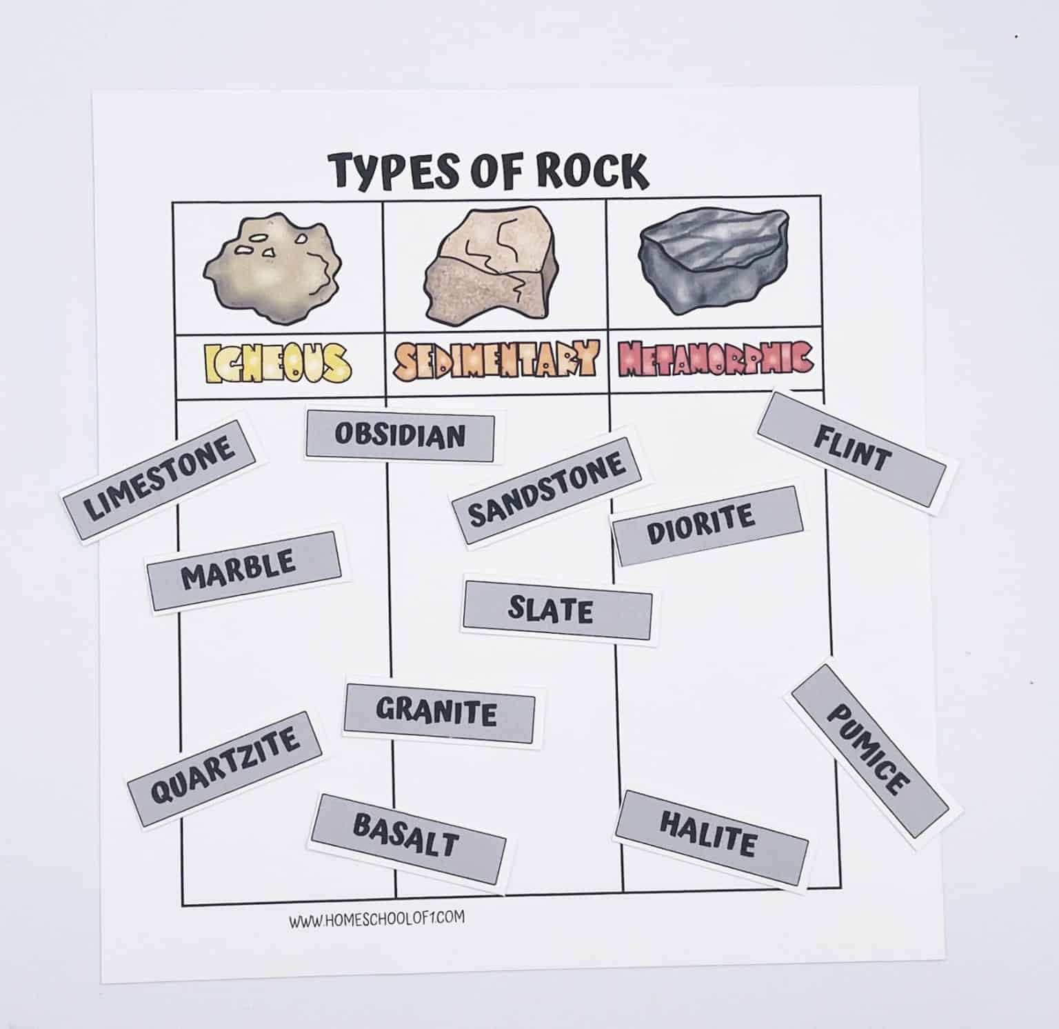 95 Free Science Worksheets for Kids in Grades K–5