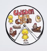 Free Life Cycle of a Chicken Worksheet