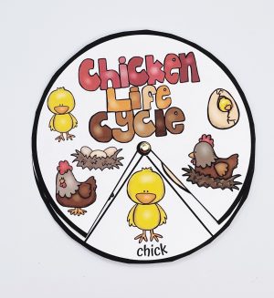 Free Life Cycle of a Chicken Worksheet