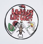 Free Ladybug Life Cycle Worksheet for Kids