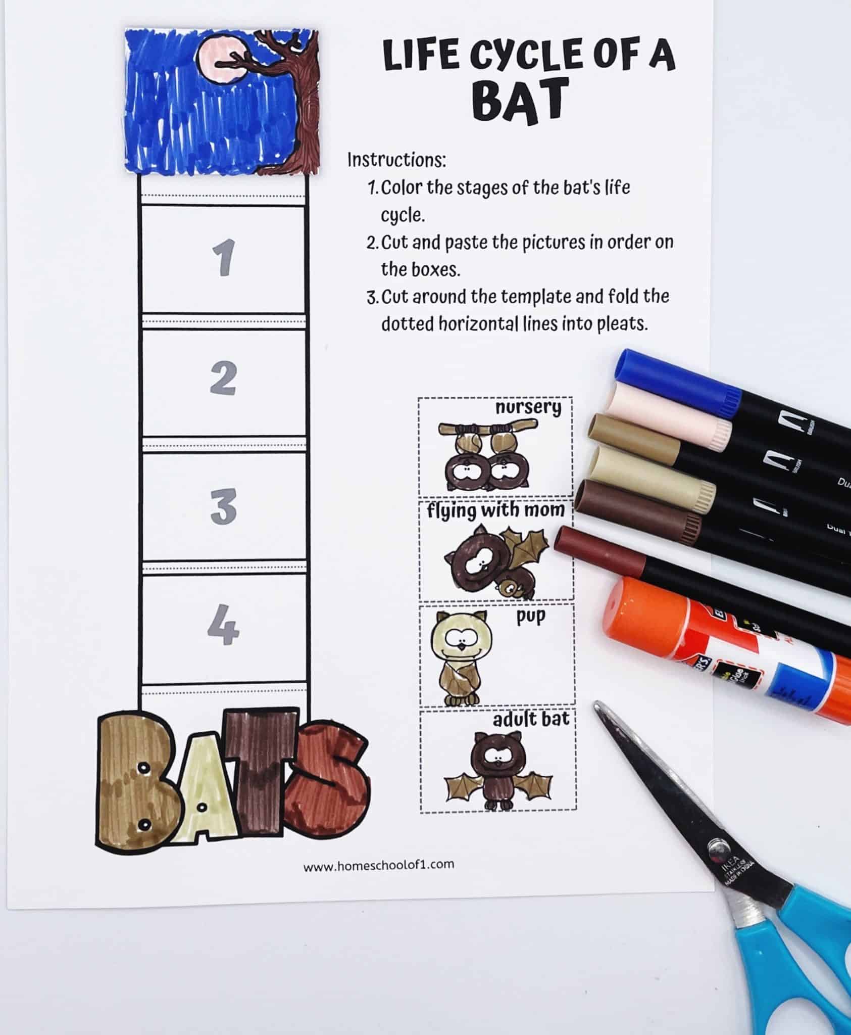 Free Bat Life Cycle Worksheet For Kids