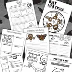 Free Bat Life Cycle Worksheet For Kids
