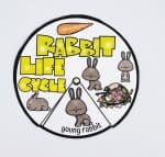 Free Rabbit Life Cycle Worksheet For Kids