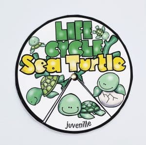 Free Life Cycle of a Turtle Worksheet for Kids