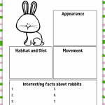 Free Rabbit Life Cycle Worksheet For Kids