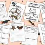Free Bat Life Cycle Worksheet For Kids