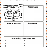 Free Bat Life Cycle Worksheet For Kids
