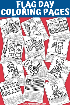 Flag Day Worksheets (12 free coloring pages)