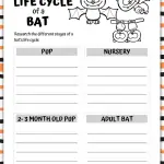 Free Bat Life Cycle Worksheet For Kids