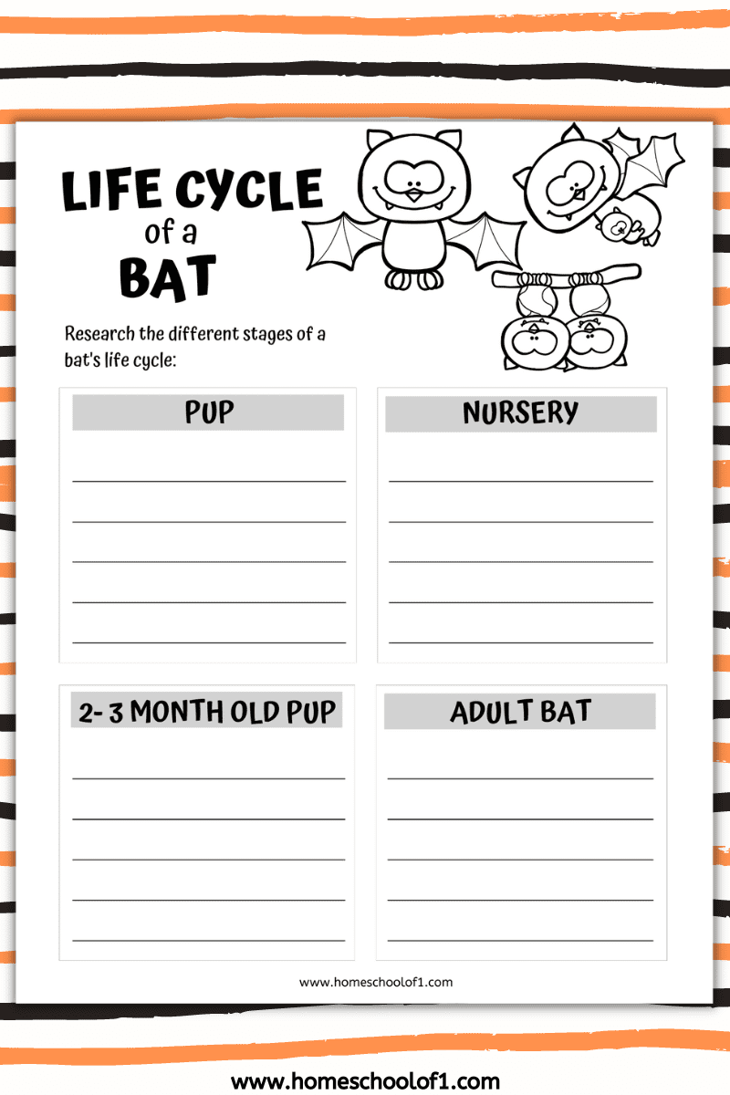Free Bat Life Cycle Worksheet For Kids