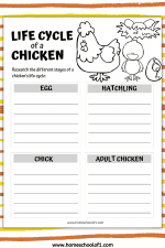 Free Life Cycle of a Chicken Worksheets - Homeschool of 1