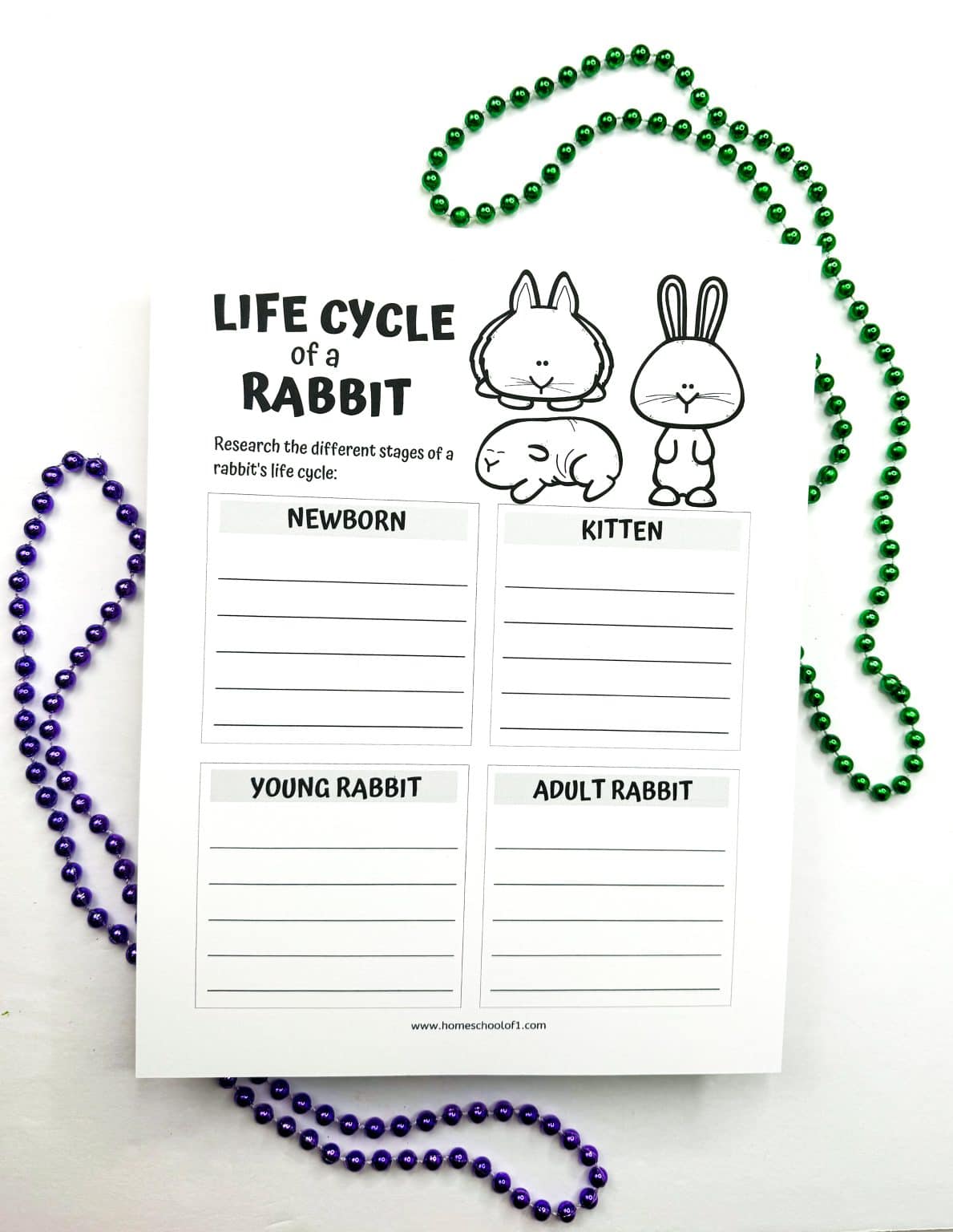 Free Rabbit Life Cycle Worksheet For Kids