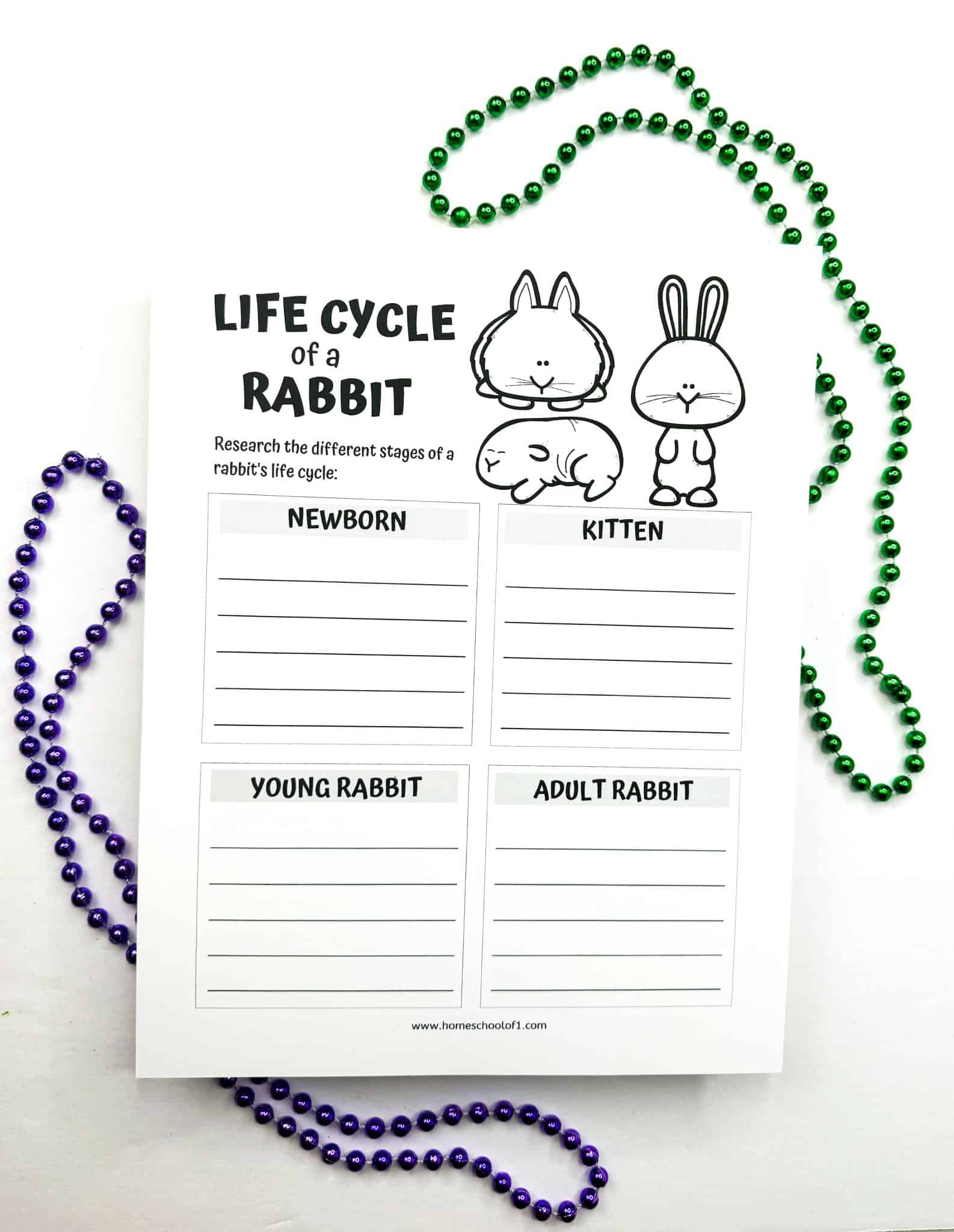 Free Rabbit Life Cycle Worksheet For Kids