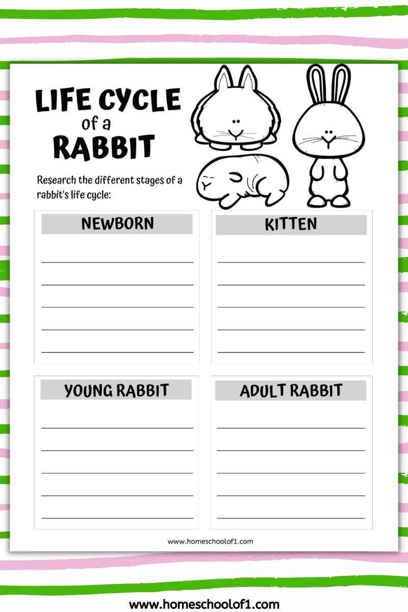 Free Rabbit Life Cycle Worksheet For Kids