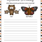 Free Bat Life Cycle Worksheet For Kids