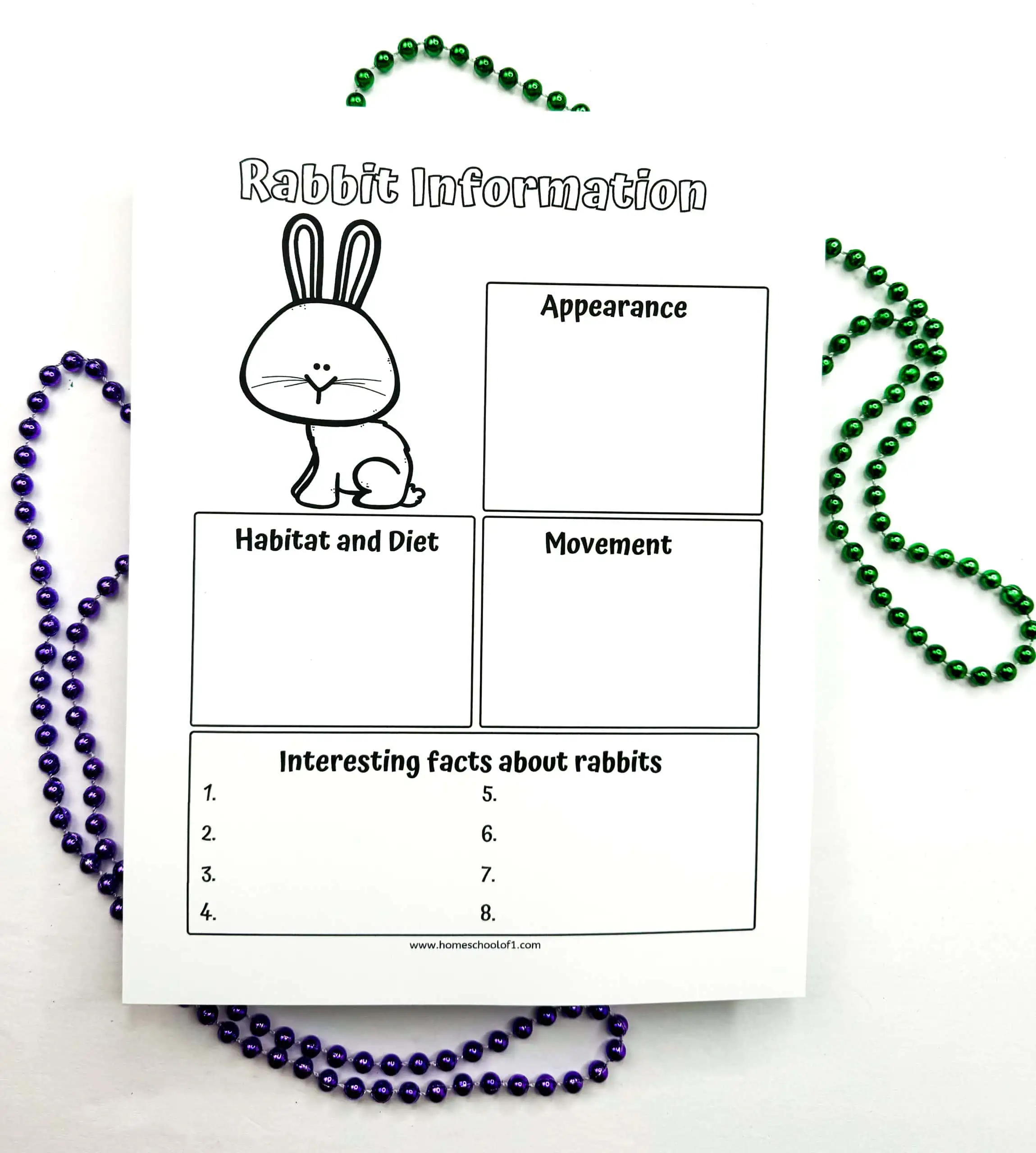 Free Rabbit Life Cycle Worksheet For Kids