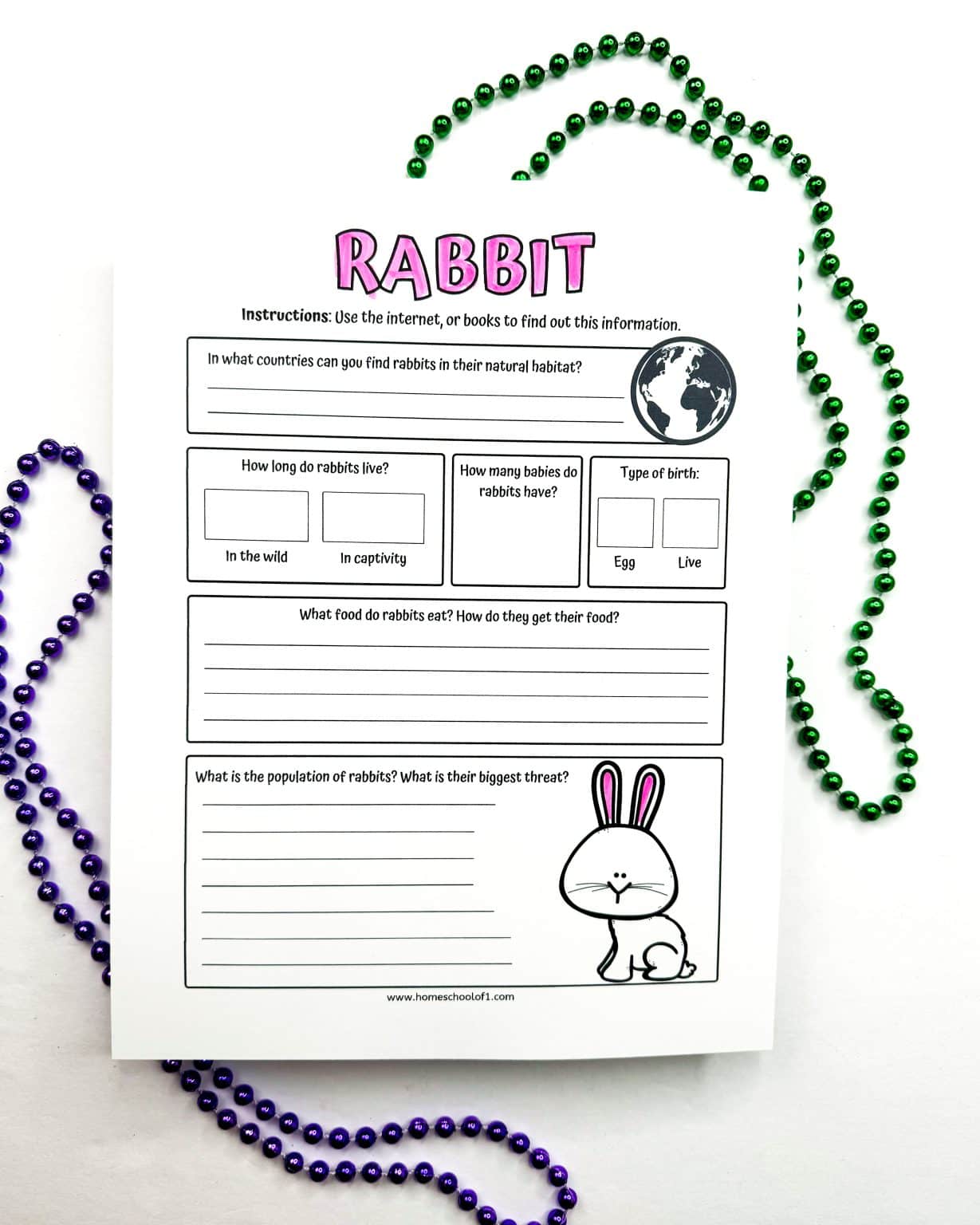 Free Rabbit Life Cycle Worksheet For Kids