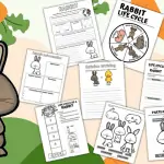 Free Rabbit Life Cycle Worksheet For Kids
