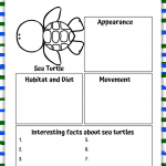 Free Sea Turtle Life Cycle Worksheet for Kids
