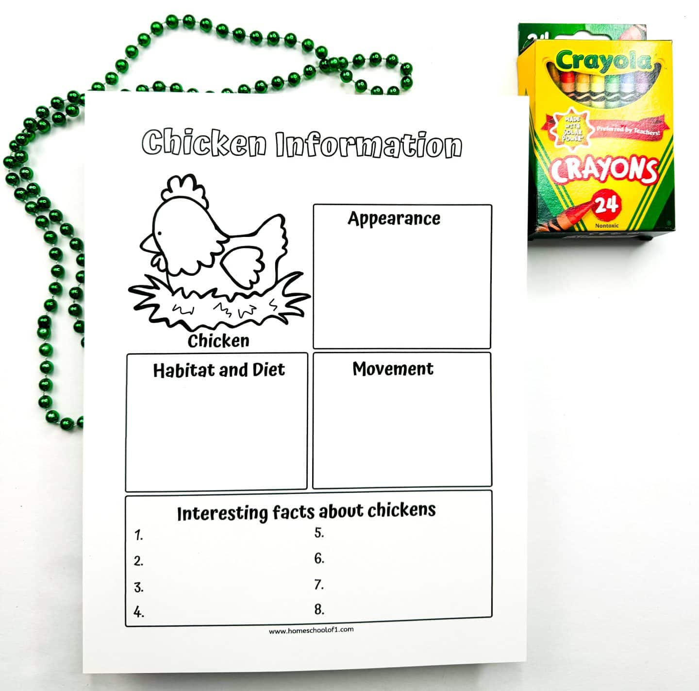 Free Life Cycle of a Chicken Worksheet