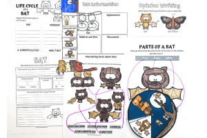 17 Free Printable Bat Worksheets For Kids