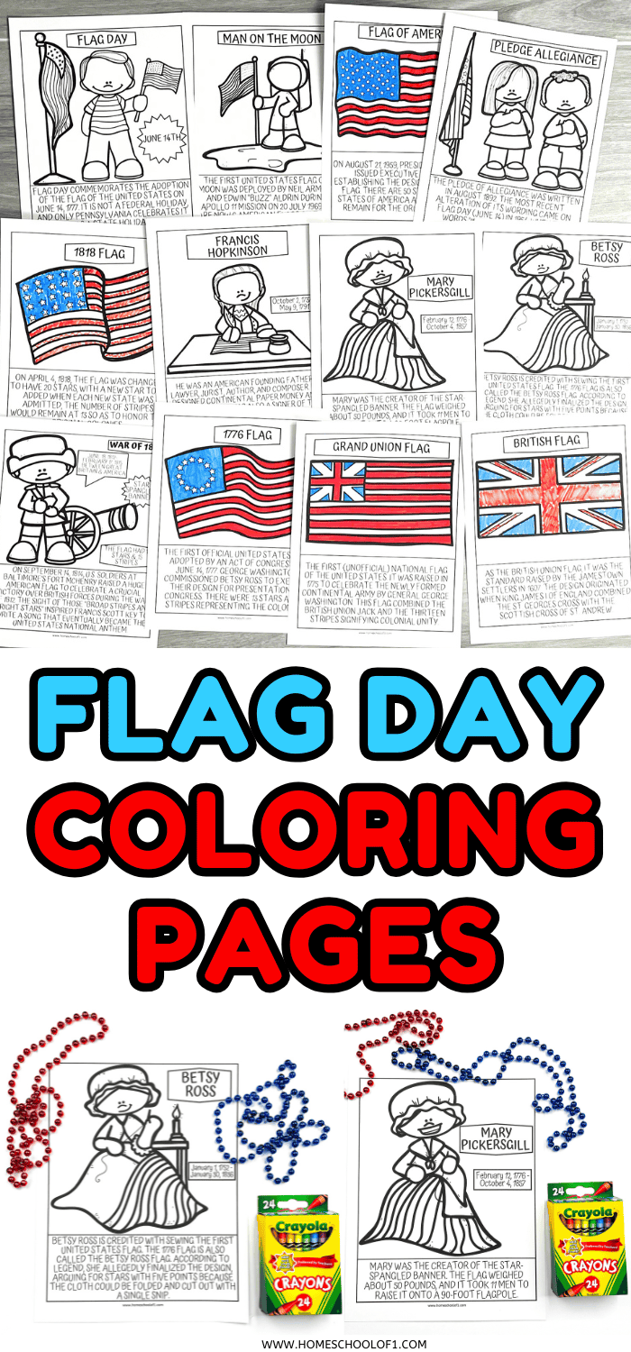 Free Printable Flag Day Worksheets for Kids
