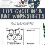 Free Bat Life Cycle Worksheet For Kids