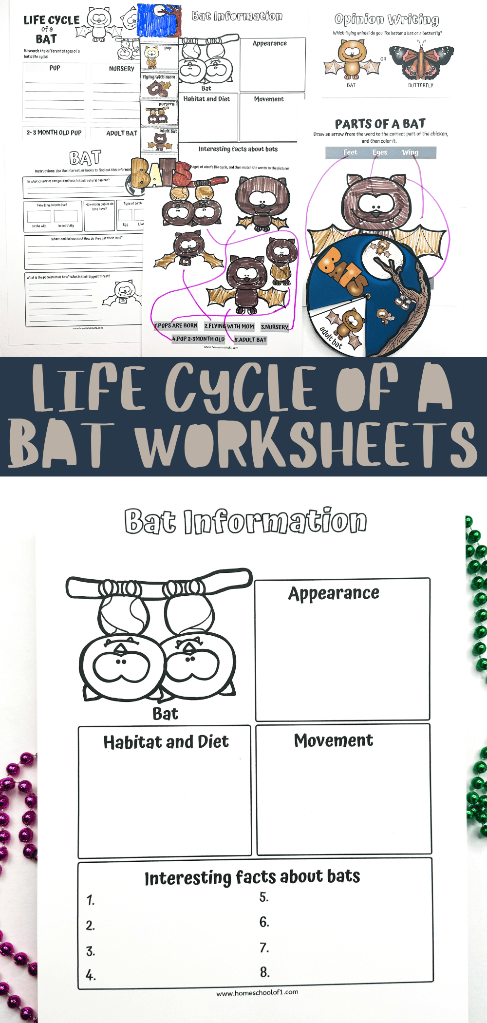 Free Bat Life Cycle Worksheet For Kids