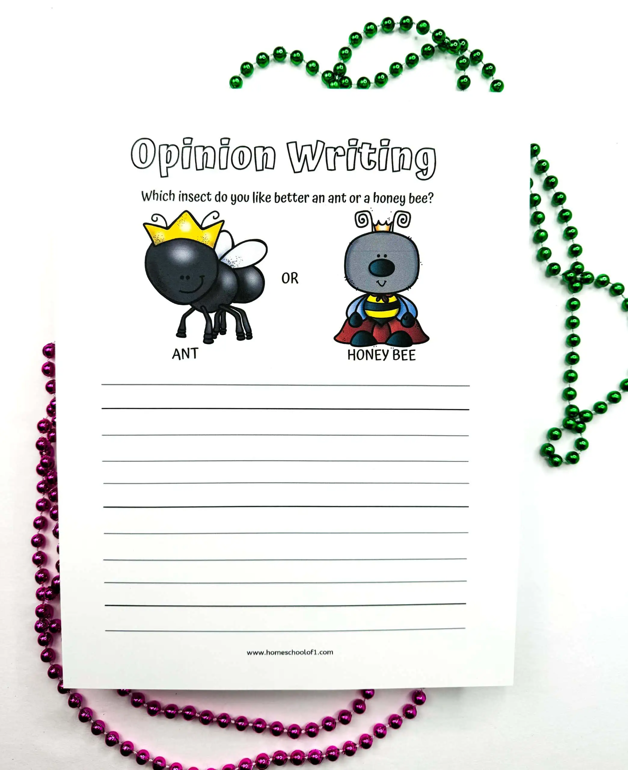 Free Ant Life Cycle Worksheets
