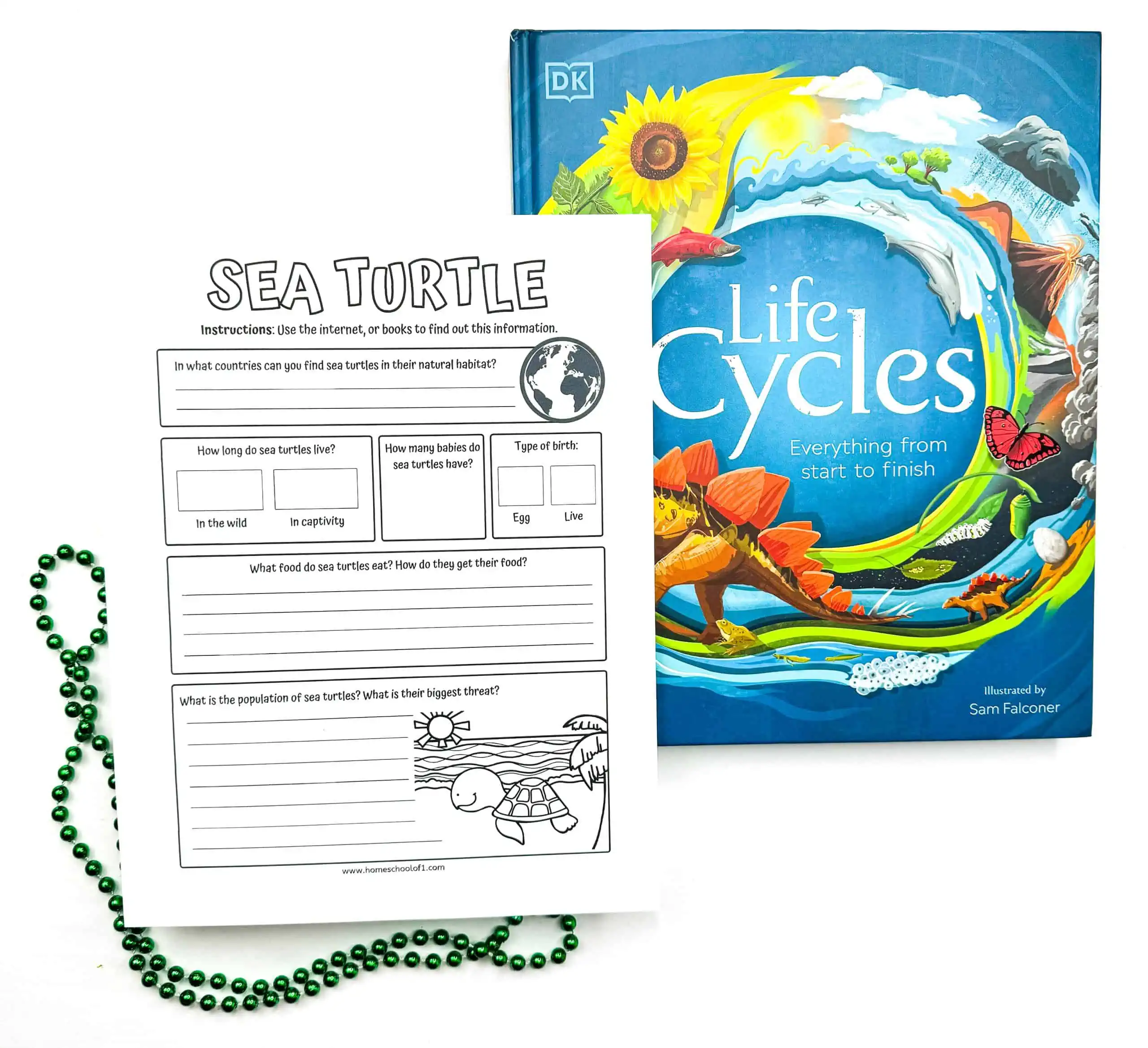 Free Sea Turtle Life Cycle Worksheet for Kids