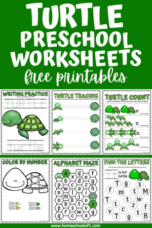 Turtle Worksheets for Preschool (free printables) - Homeschool of 1