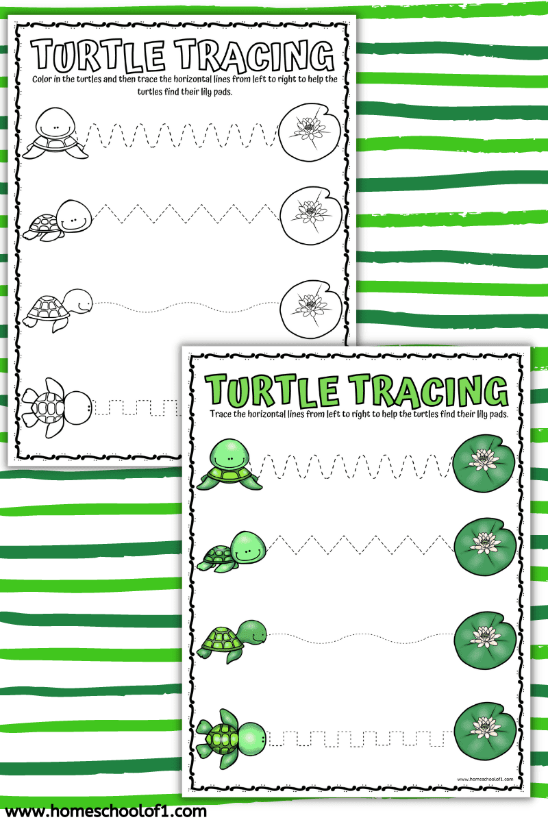 Turtle Tracing Worksheet (Free Printable)
