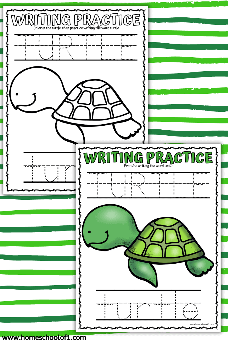 Turtle Worksheets for Preschool (free printables) - Homeschool of 1
