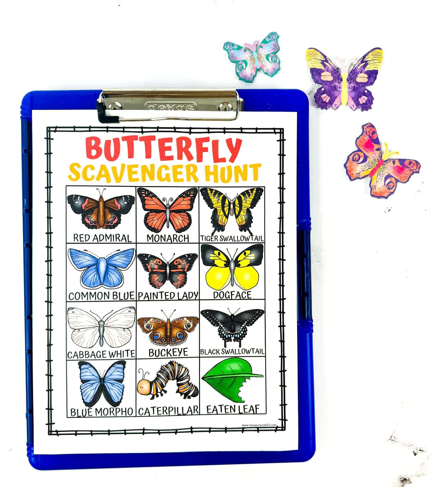 Exciting Summer Scavenger Hunt Ideas for Endless Fun