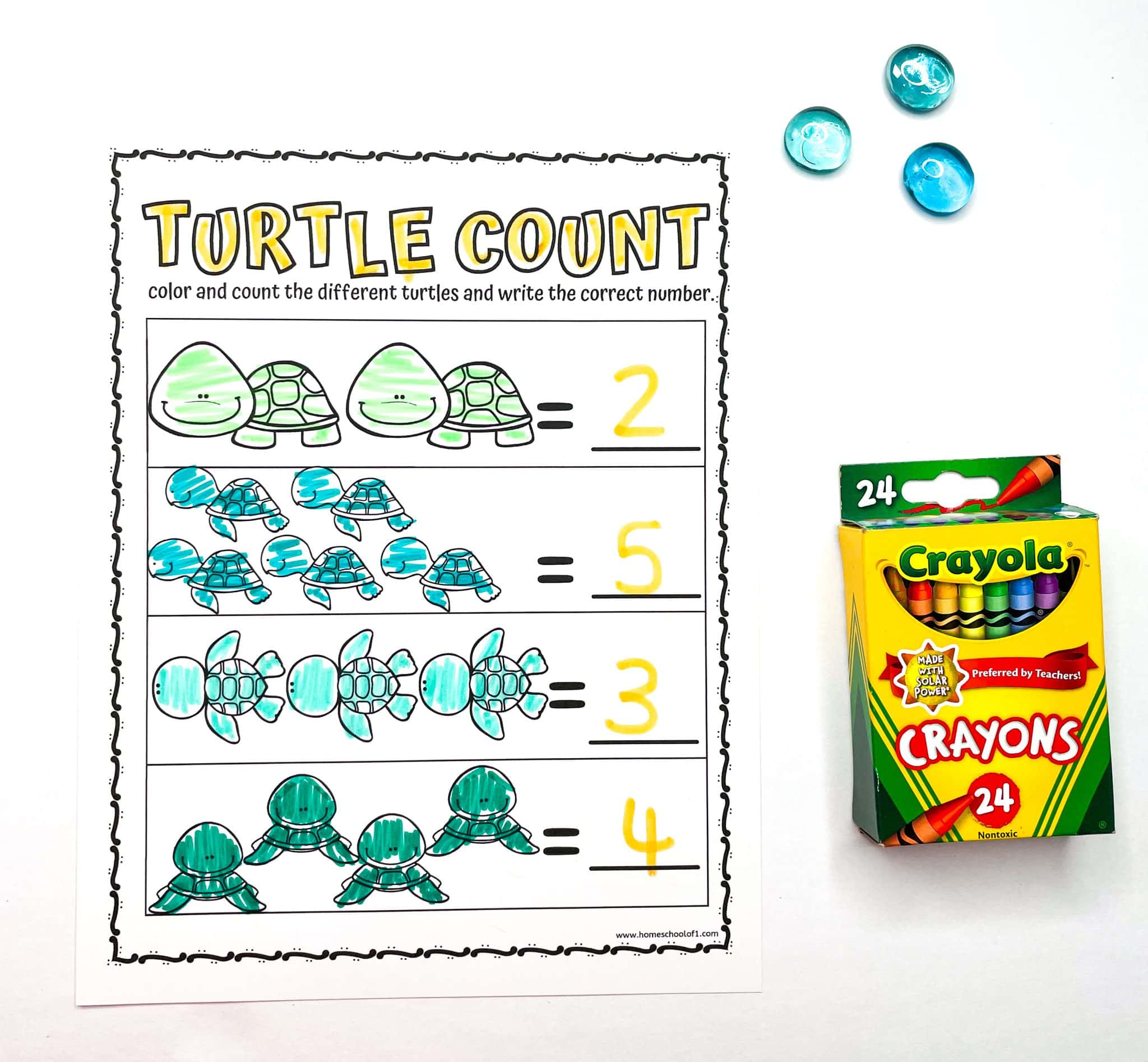 Free Turtle Worksheets for Preschoolers