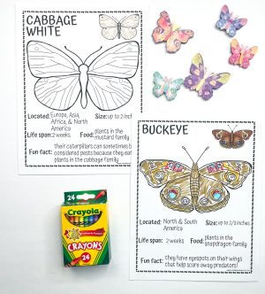 Free Printable Butterfly Coloring Pages For Kids