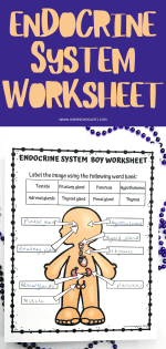 Free Endocrine System Labeling Worksheet For Kids