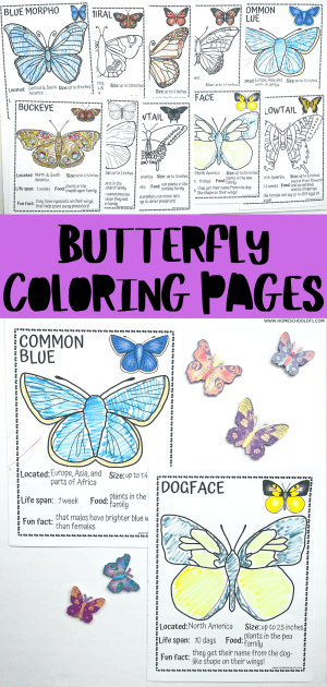 Free Printable Butterfly Coloring Pages For Kids