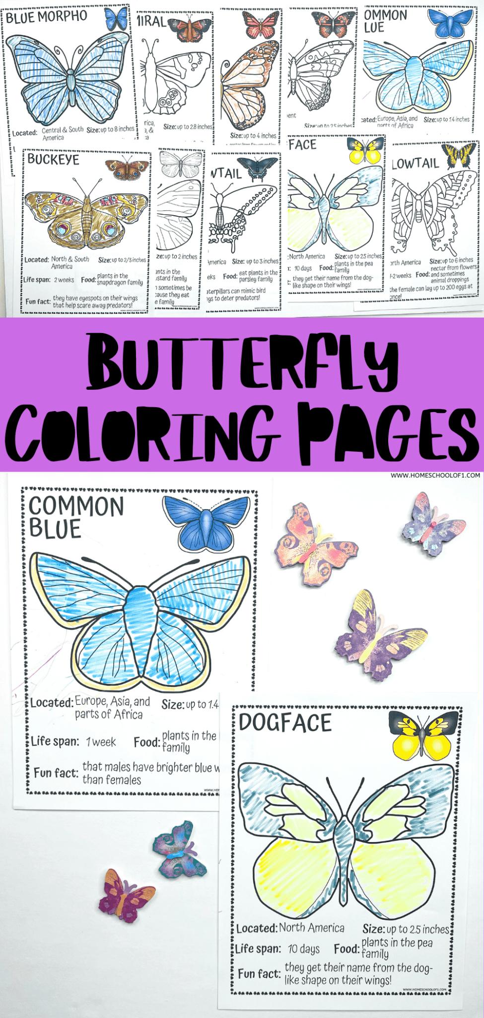 Free Printable Butterfly Coloring Pages For Kids