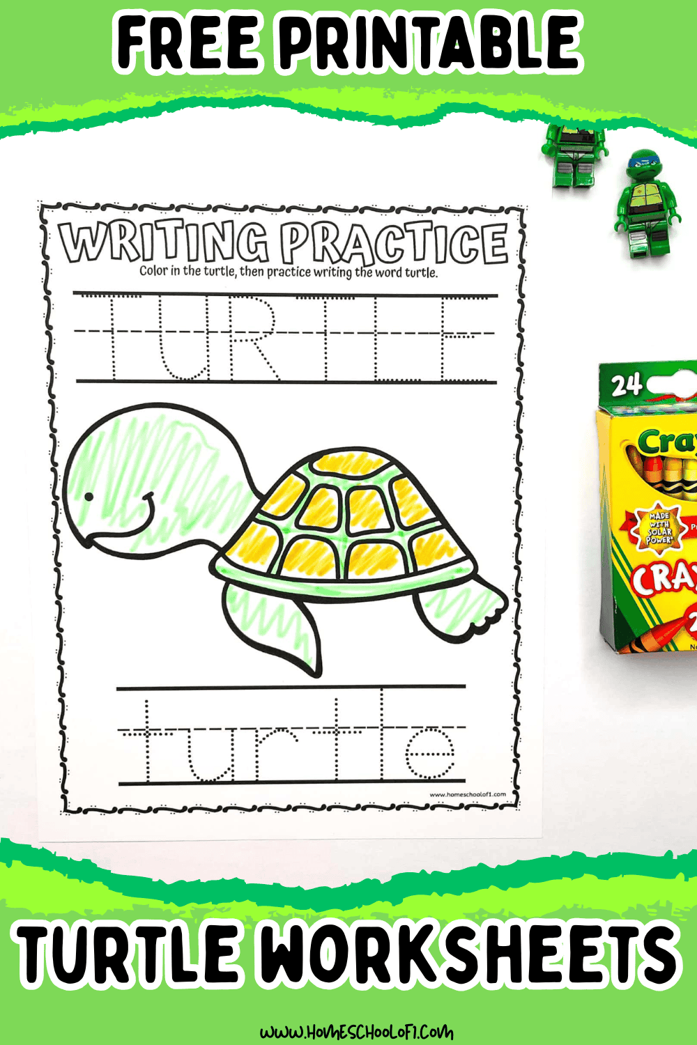 Free Turtle Worksheets for Preschoolers