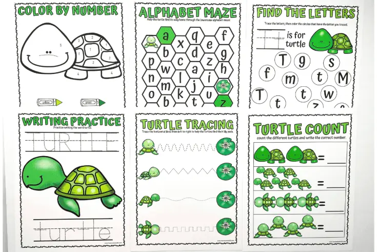 Turtle Activities for Preschoolers with Worksheets and Crafts