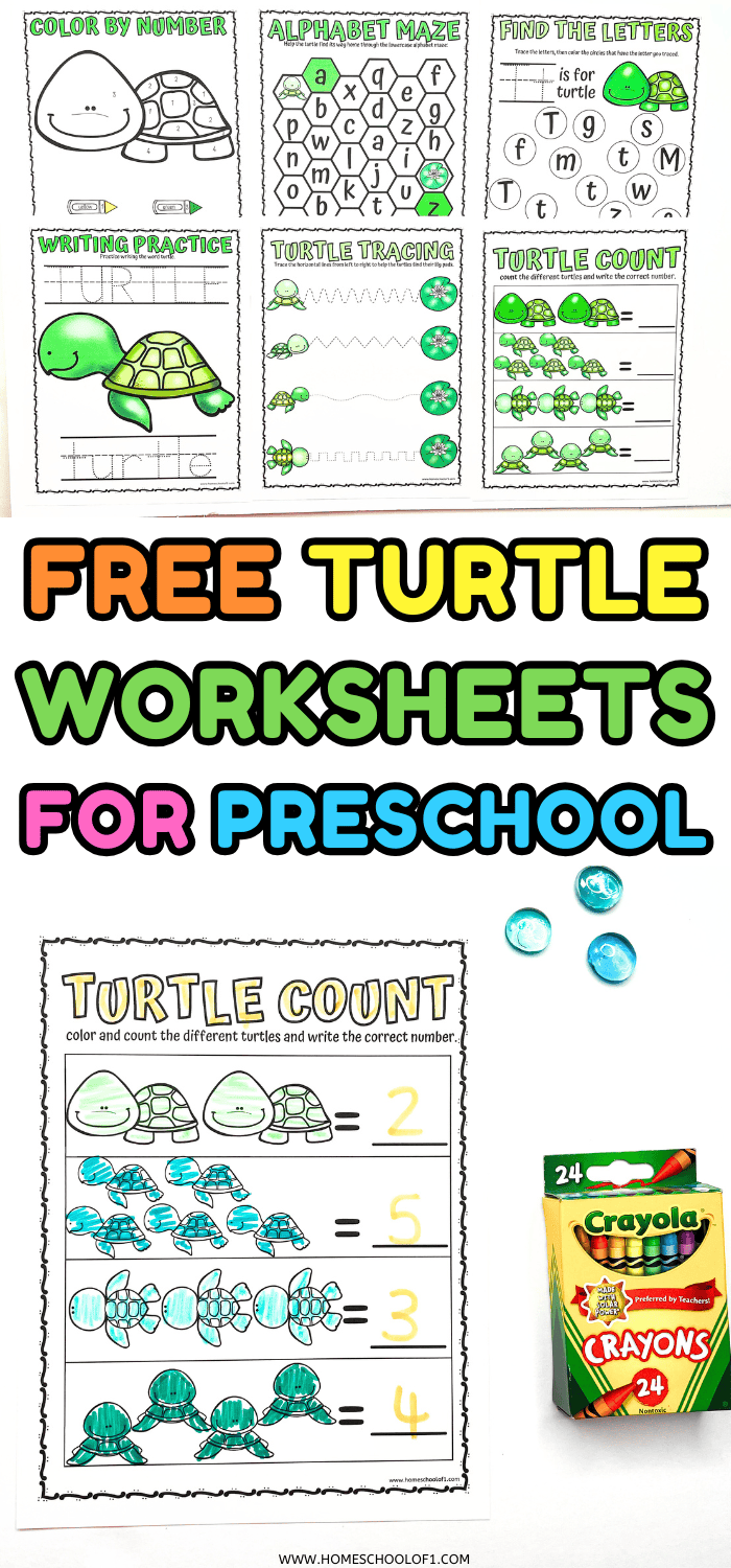 Free Turtle Worksheets for Preschoolers