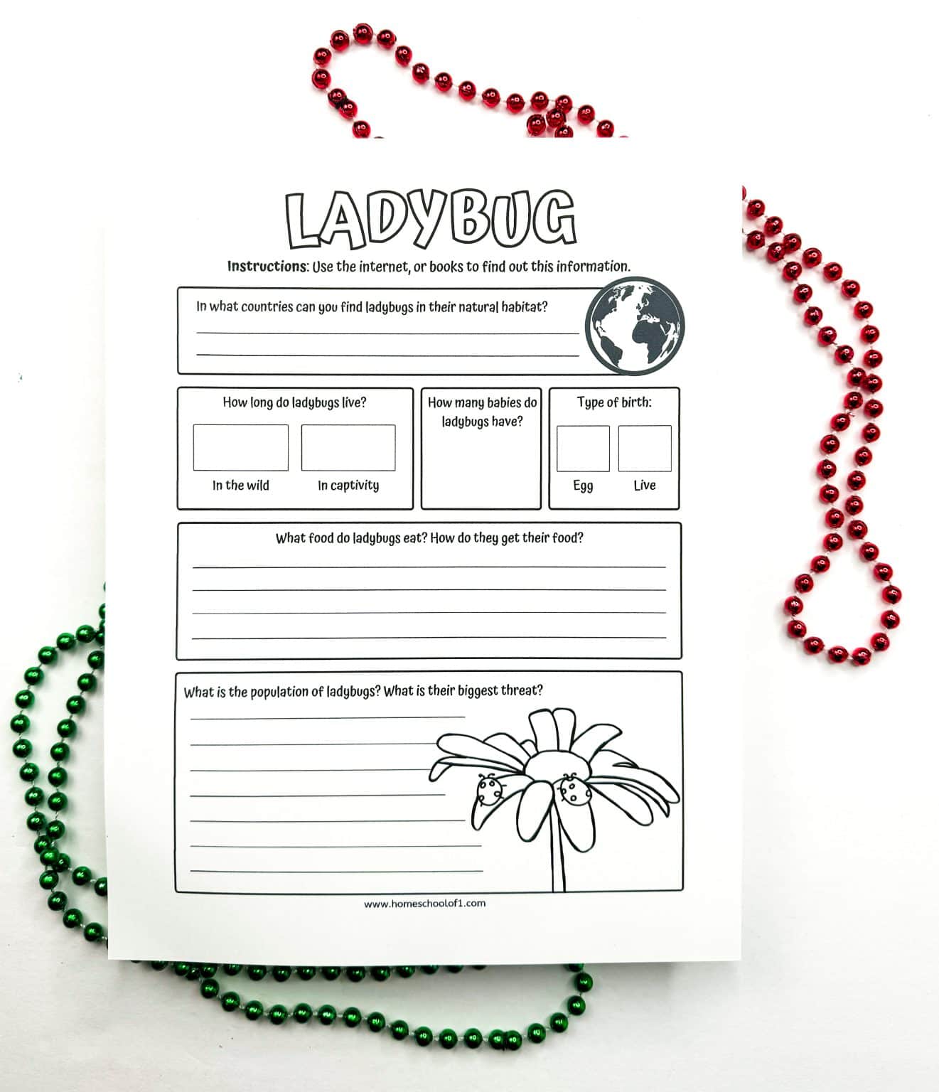 Free Ladybug Life Cycle Worksheet for Kids
