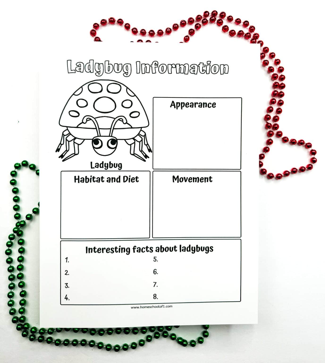 Free Ladybug Life Cycle Worksheet for Kids